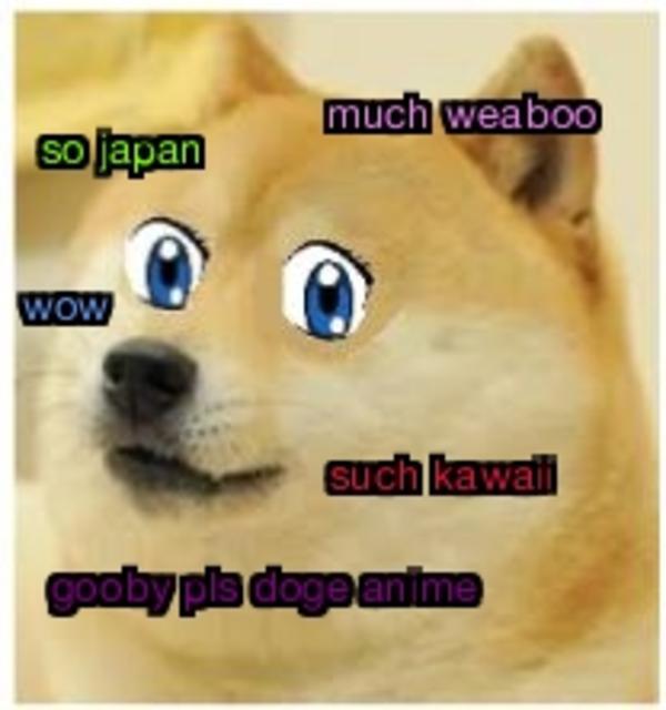 Kawaii Doge | Doge | Know Your Meme