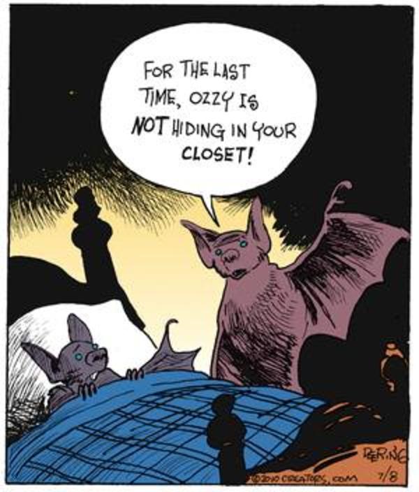 A Bat's Nightmare | Halloween | Know Your Meme