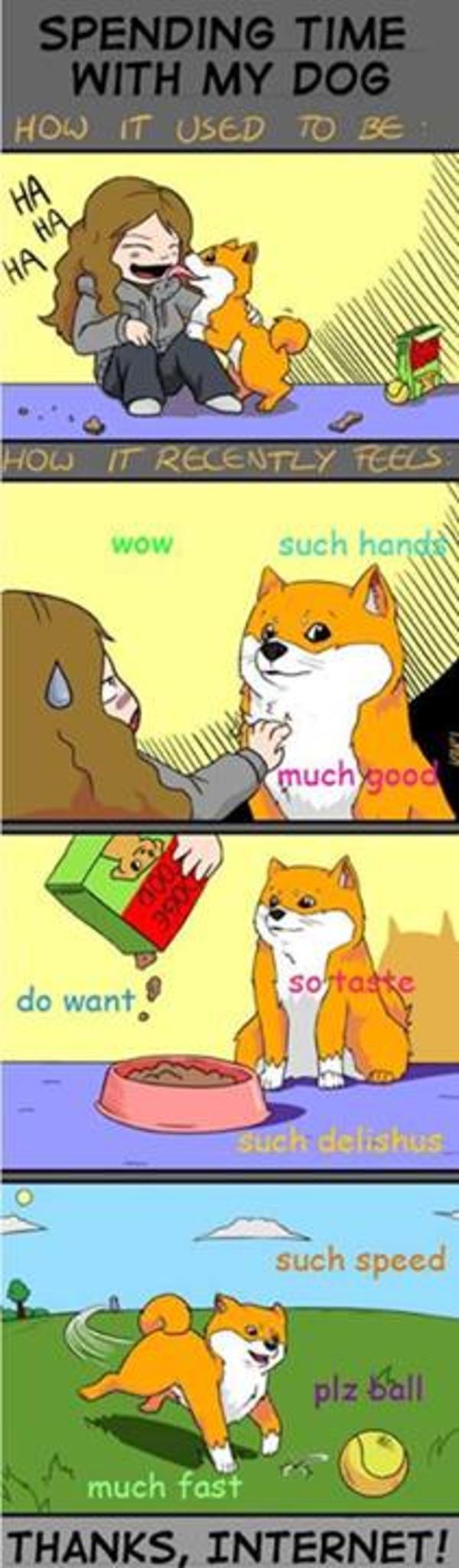 Thank you, internet! | Doge | Know Your Meme