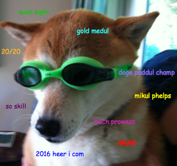 Doge | Doge | Know Your Meme