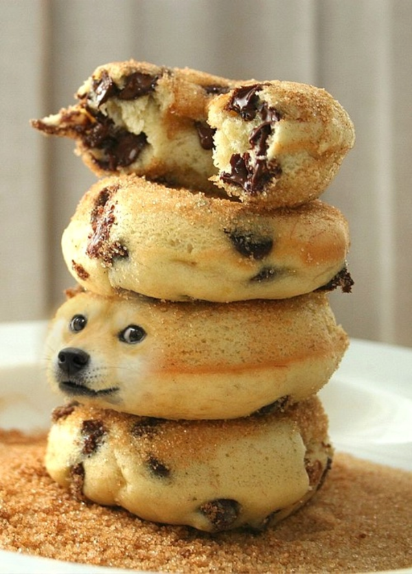 [Image - 637806] | Doge | Know Your Meme