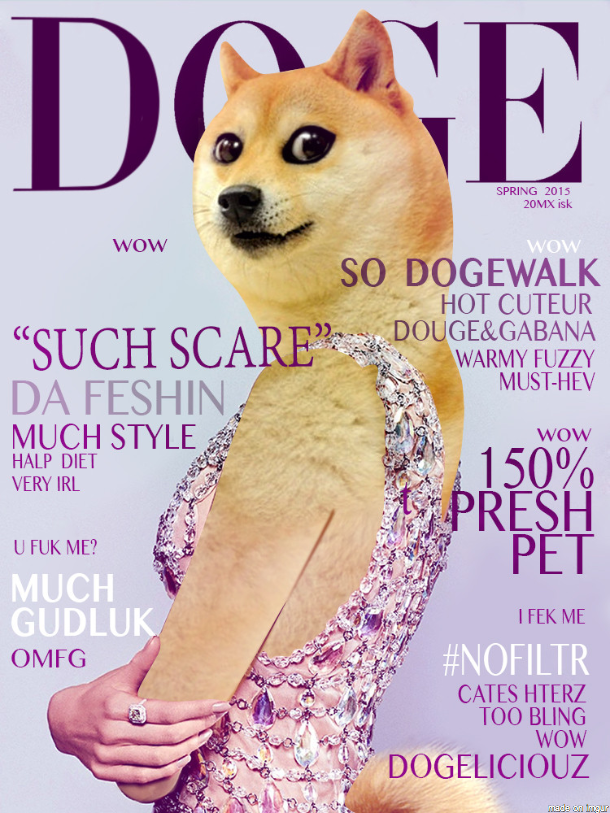 DOGE | Doge | Know Your Meme