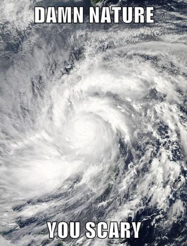 [Image - 640477] | 2013 Typhoon Haiyan | Know Your Meme