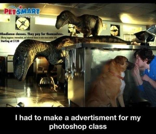 [Image - 643237] | Win / Epic Win / For The Win | Know Your Meme