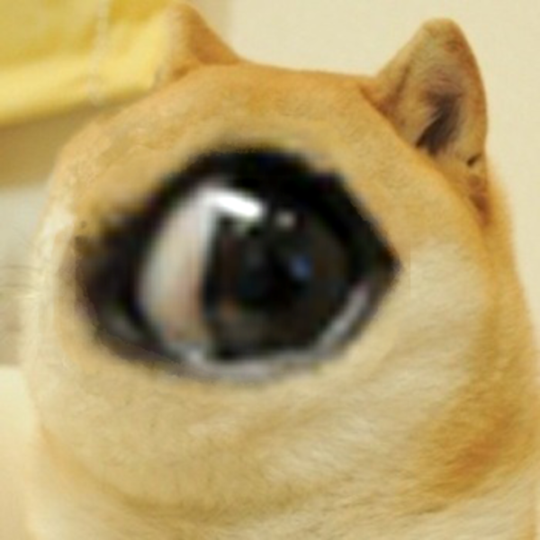 [Image - 644793] | Doge | Know Your Meme