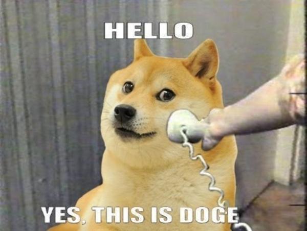 [Image - 645435] | Doge | Know Your Meme