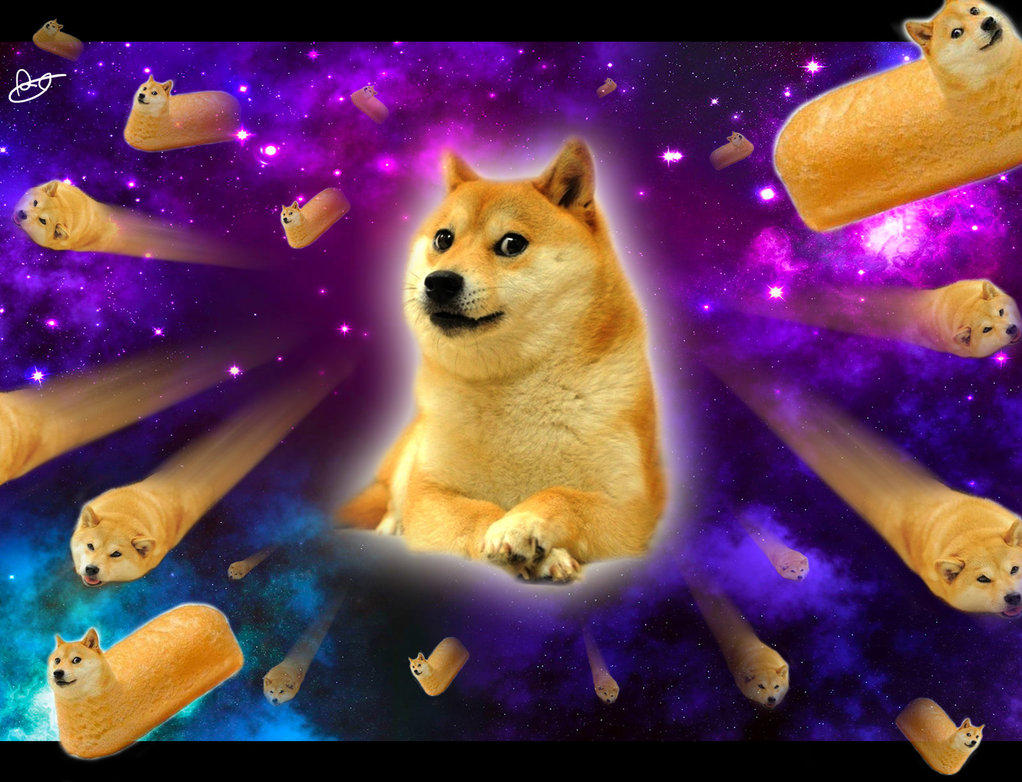 [Image - 645969] | Doge | Know Your Meme