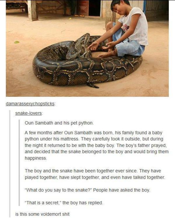 [Image - 650438] | Tumblr | Know Your Meme