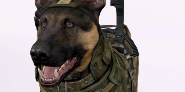 [Image - 654216] | Call of Duty Dog | Know Your Meme