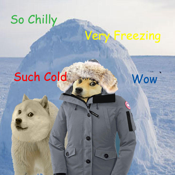 Winter Doge | Doge | Know Your Meme