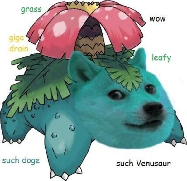 [Image - 657918] | Doge | Know Your Meme