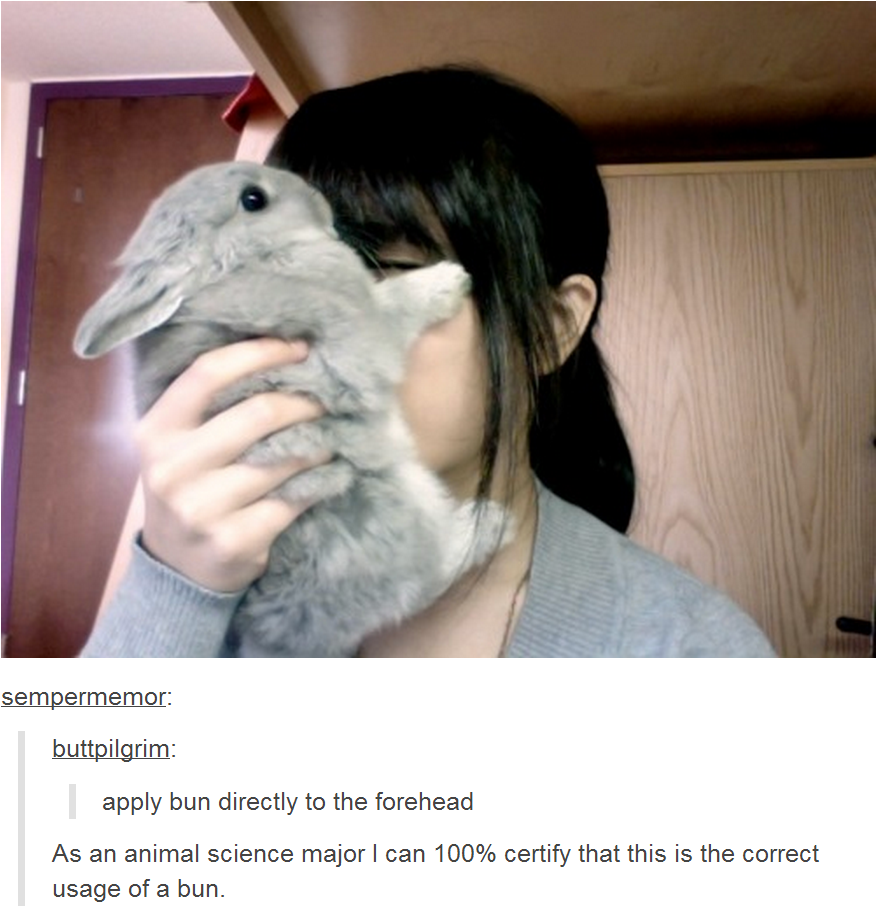 [Image - 659996] | HeadOn | Know Your Meme