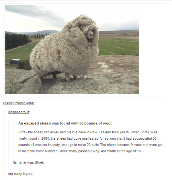 Too many layers | Shrek | Know Your Meme