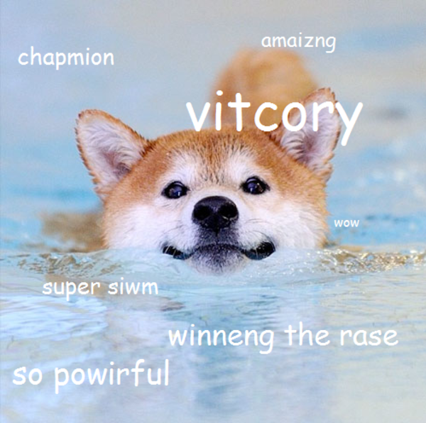 Swimming Doge | Doge | Know Your Meme
