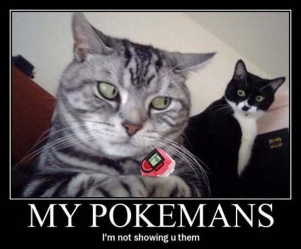 [Image - 663245] | Let Me Show You My Pokemans | Know Your Meme