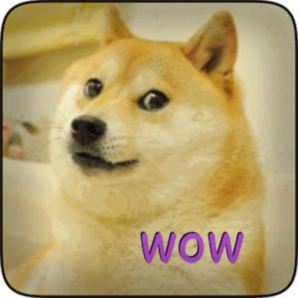 [Image - 664290] | Doge | Know Your Meme