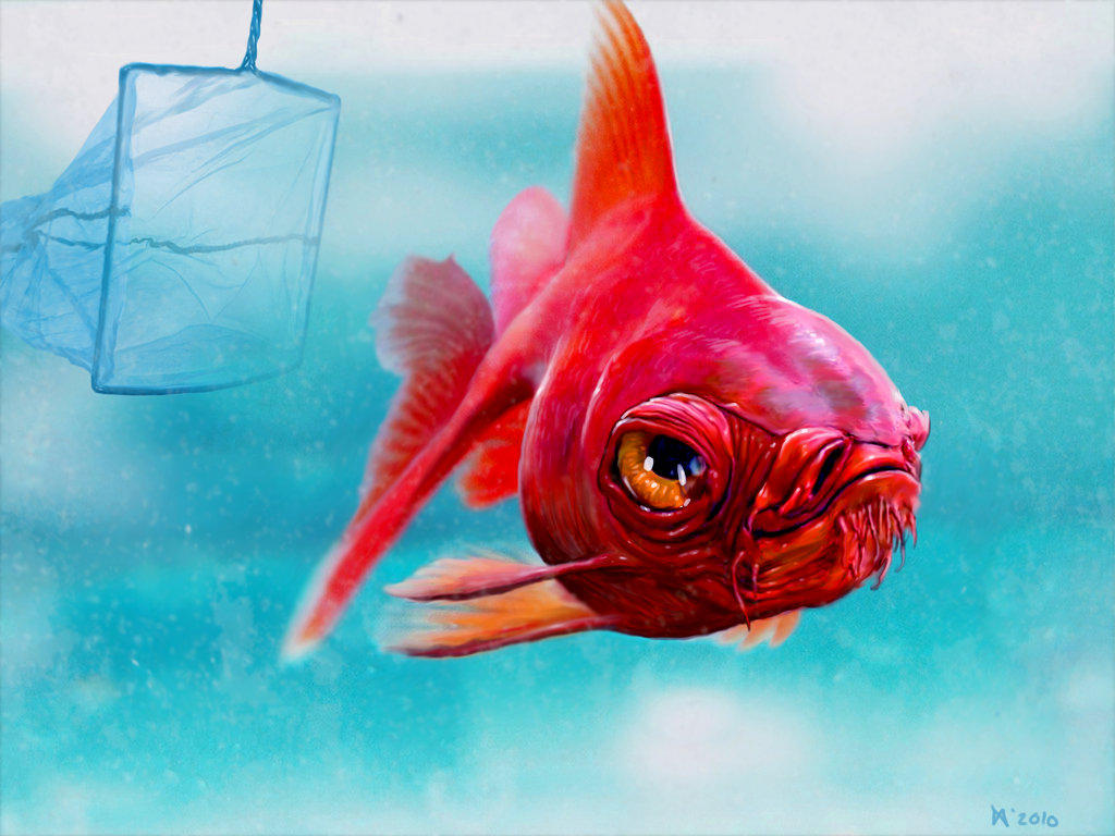 [Image - 665495] | It's A Trap! | Know Your Meme