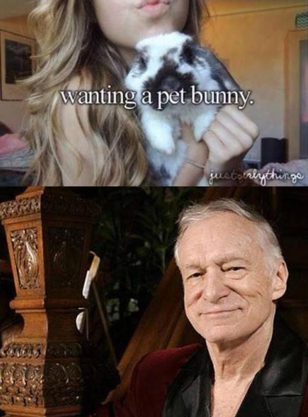 [Image - 665743] | Just Little Things | Know Your Meme