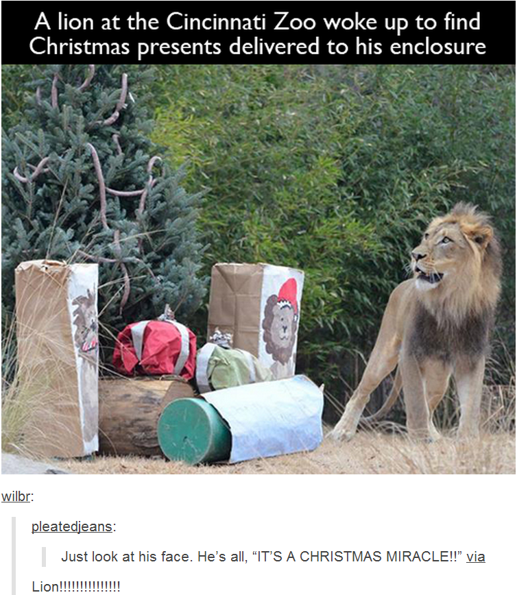 [Image - 666989] | Tumblr | Know Your Meme