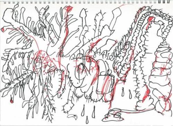 scp 750 | SCP Foundation | Know Your Meme