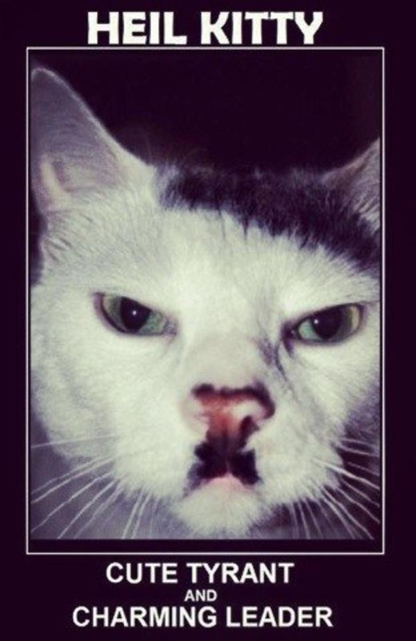Heil Kitty | Know Your Meme