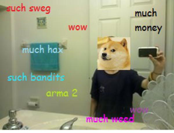 Arma 2 Hacker Doge Selfie | Doge | Know Your Meme
