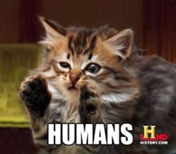 Reaction Faces | Reaction Images | Know Your Meme