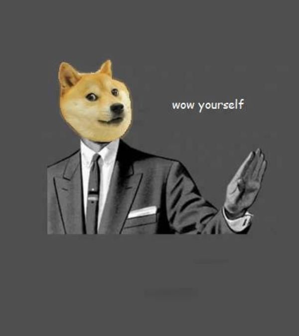 [Image - 673143] | Doge | Know Your Meme