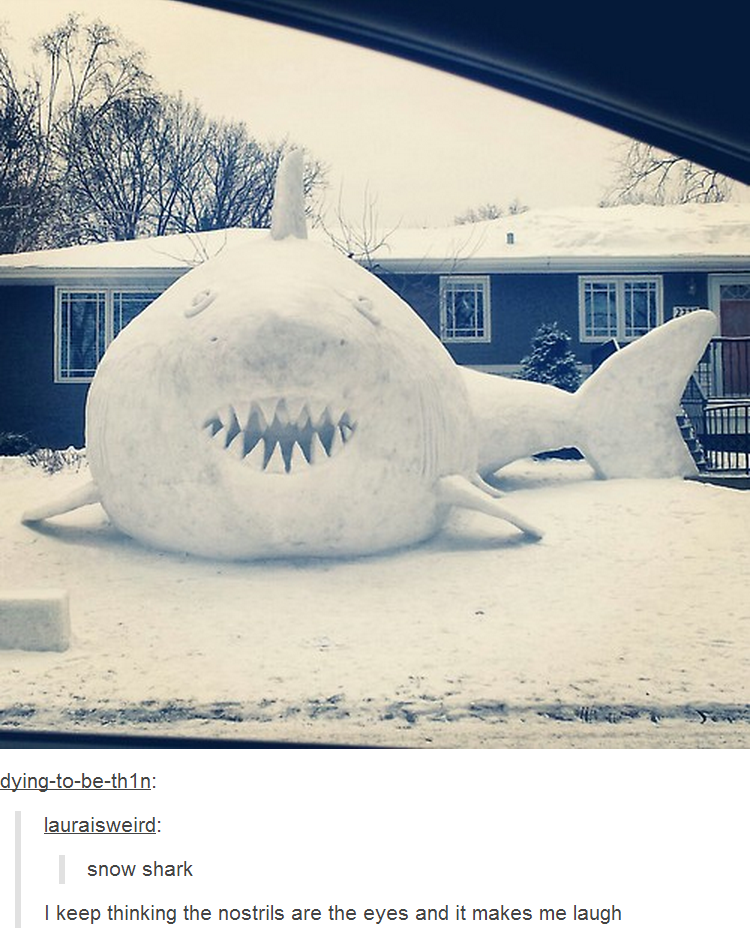 [Image - 674698] | 2014 North American Polar Vortex | Know Your Meme