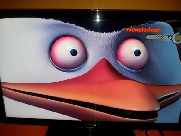 Skipper Has Had Enough Penguins Of Madagascar Know Your Meme