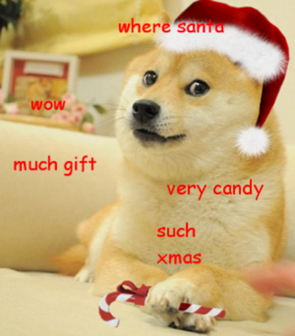 Doge is waiting for Christmas | Doge | Know Your Meme