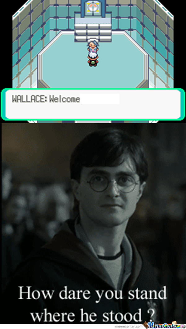 Damn it, Wallace | Pokémon | Know Your Meme