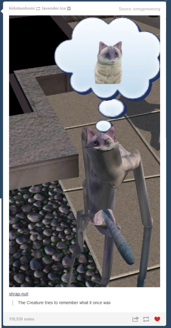 [Image - 679628] | Tumblr | Know Your Meme