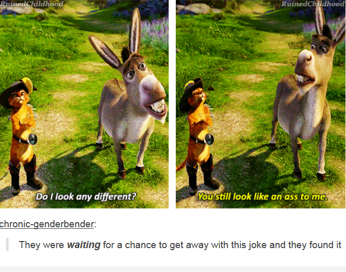 [Image - 682525] | Shrek | Know Your Meme