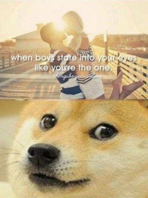 justdogethings | Doge | Know Your Meme