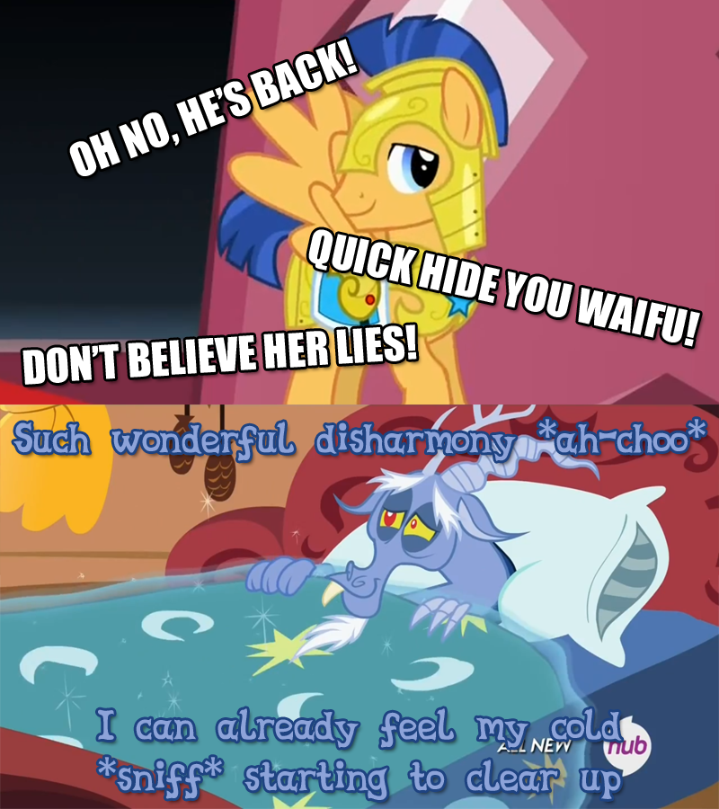 [Image - 686051] | My Little Pony: Friendship is Magic | Know Your Meme