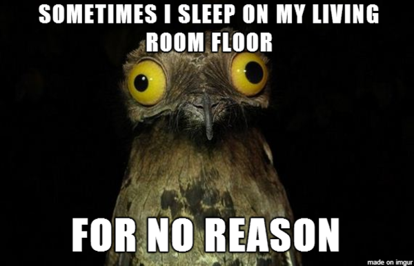 [Image - 687072] | Weird Stuff I Do Potoo | Know Your Meme