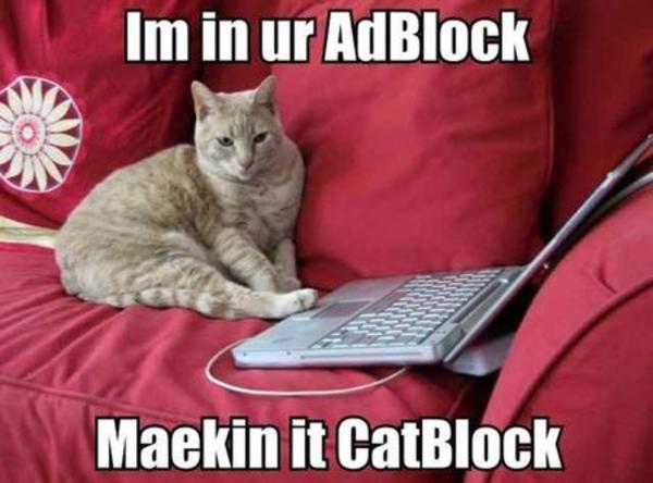 [Image - 690533] | Ad blocking | Know Your Meme