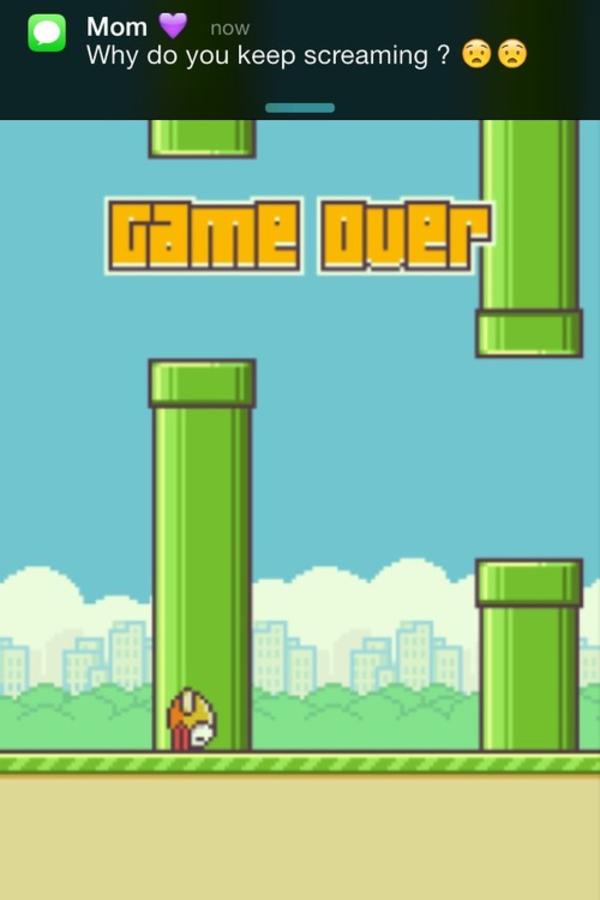 [Image - 691304] | Flappy Bird | Know Your Meme