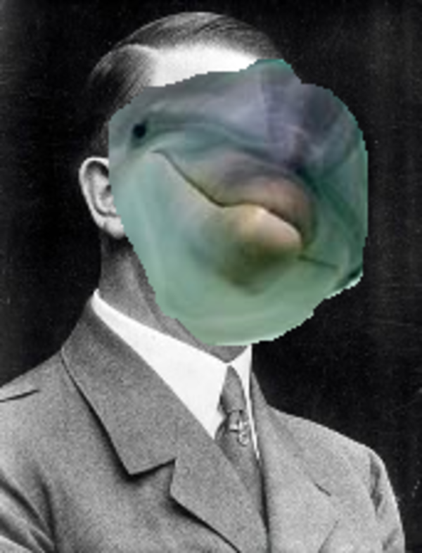 Hey look! Adolphin! | Adolf Hitler | Know Your Meme