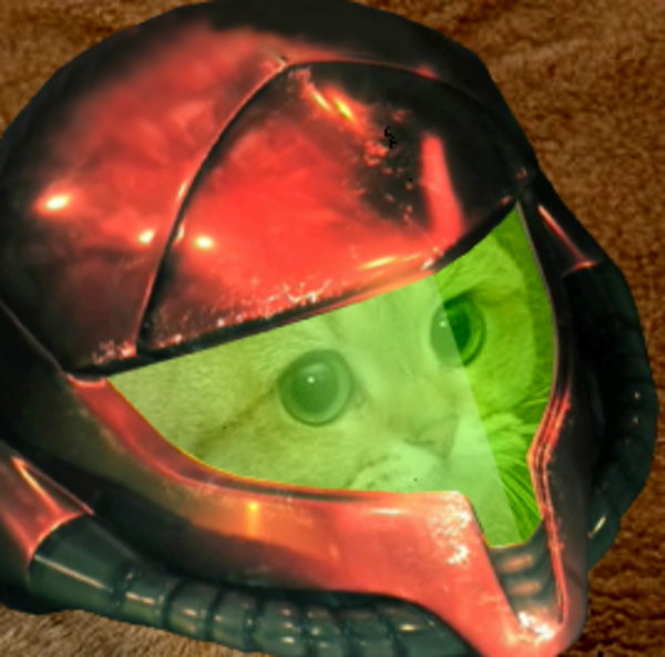 [Image - 692300] | Starecat / Grafics Cat | Know Your Meme