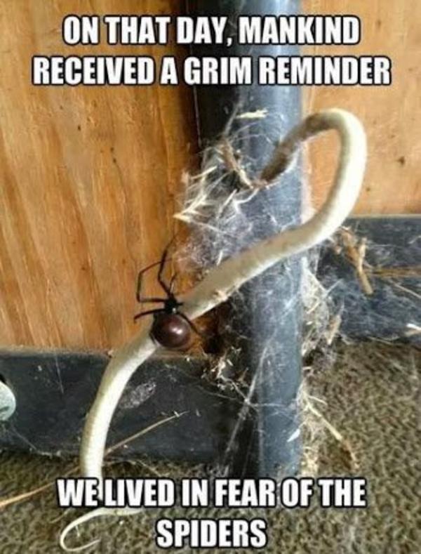 [Image - 695320] | Damn Nature, You Scary! | Know Your Meme