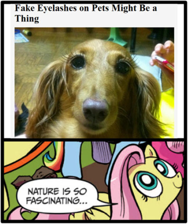 [Image - 696692] | Nature is so Fascinating | Know Your Meme