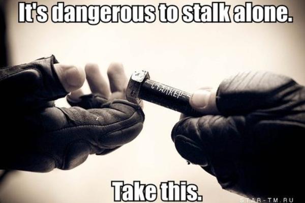 It's dangerous to stalk alone | S.T.A.L.K.E.R. | Know Your Meme