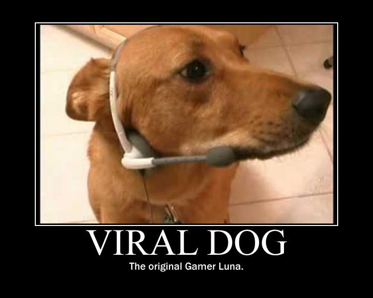 INB4 Flame War | Classic Game Room | Know Your Meme