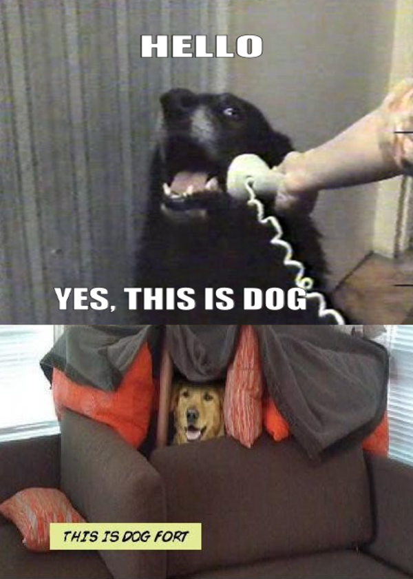 Dog Fort this is Dog | Yes, This is Dog | Know Your Meme