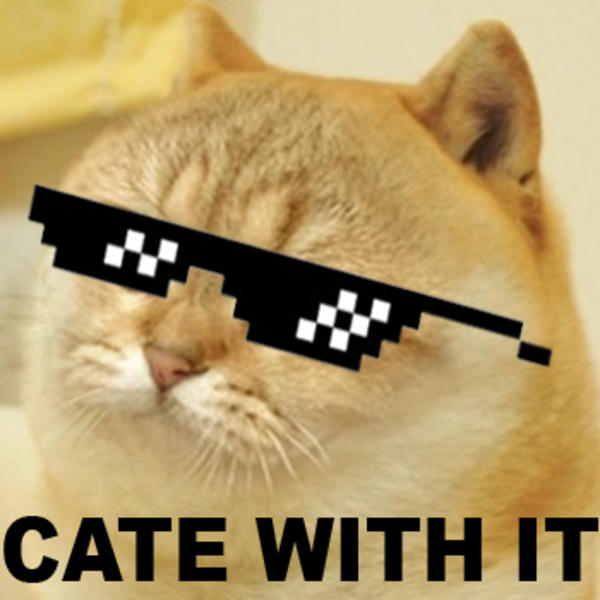 Cate with it | Doge | Know Your Meme