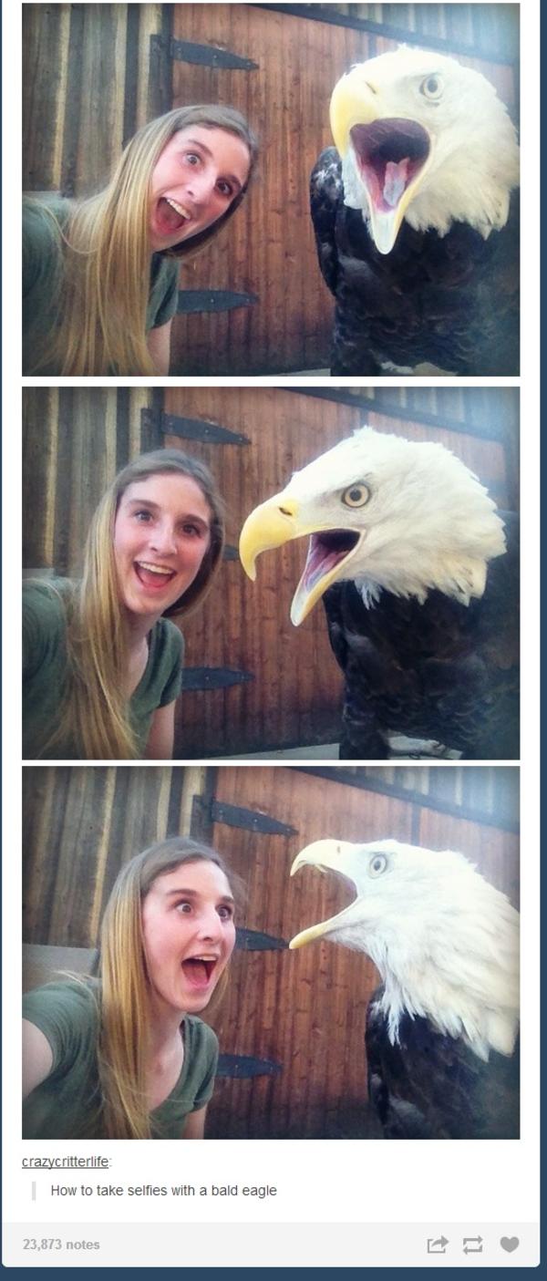 [Image - 705082] | Selfie | Know Your Meme