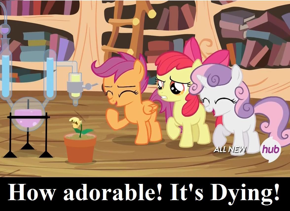 How adorable! It's Dying! | My Little Pony: Friendship is Magic | Know ...
