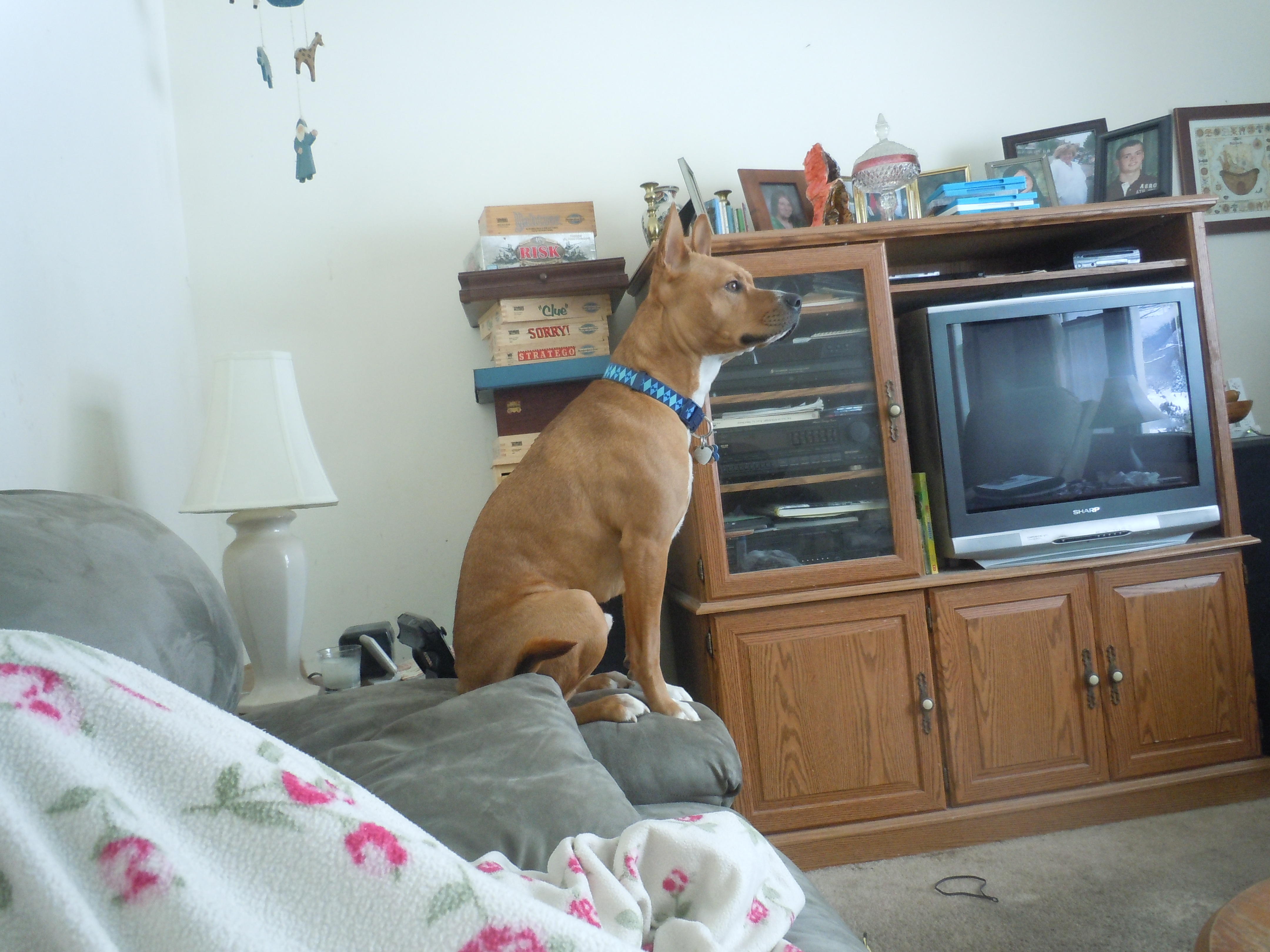 Oliver | Know Your Meme